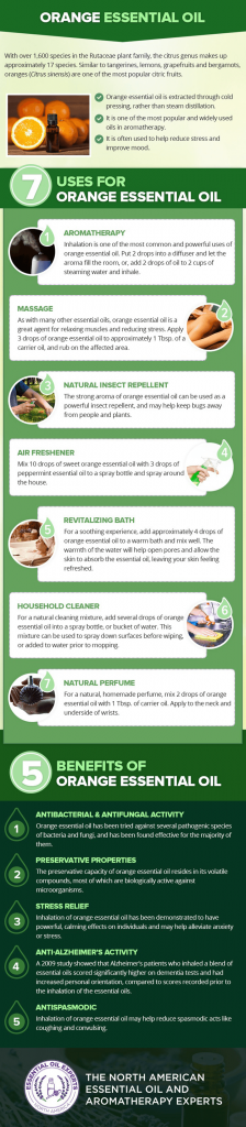 Orange Essential Oil | Uses, Benefits, & Where to Buy