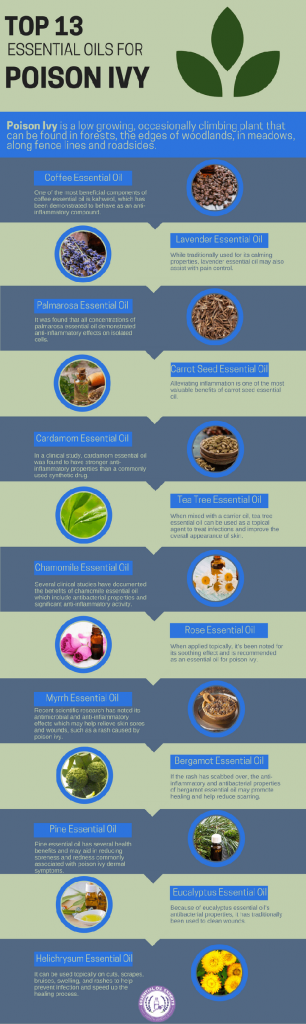 Top 13 Essential Oils for Poison Ivy Rash | Essential Oil Experts